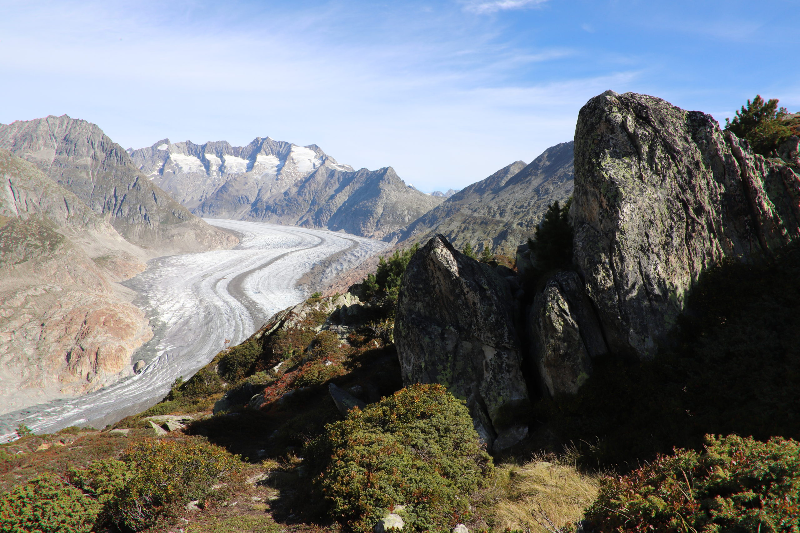 Aletsch – Cajo on the Move